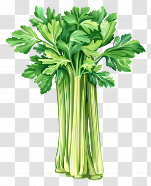 Celery Python Node.js Task - Django PNG