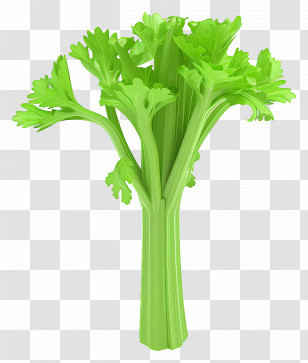 Celery Python Node.js Task - Django PNG