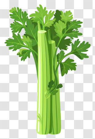 Celery Python Node.js Task - Django PNG