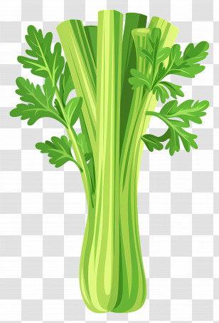 Celery Python Node.js Task - Django PNG