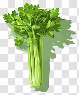 Celery Python Node.js Task - Django PNG