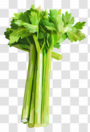 Celery Python Node.js Task - Django PNG