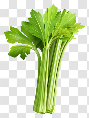 Celery Python Node.js Task - Django PNG