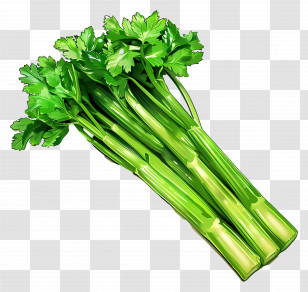 Celery Python Node.js Task - Django PNG