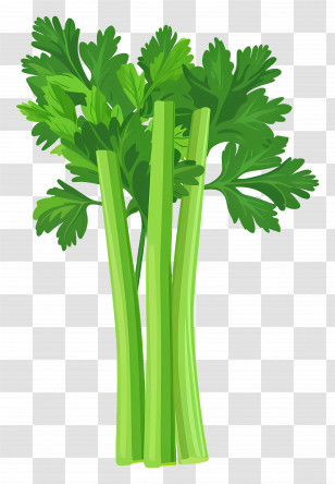 Celery Python Node.js Task - Django PNG