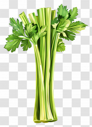 Celery Python Node.js Task - Django PNG