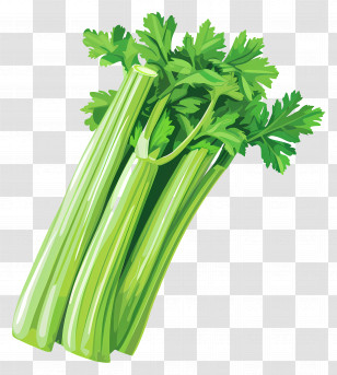 Celery Python Node.js Task - Django PNG