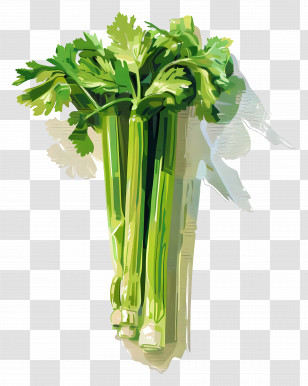 Celery Python Node.js Task - Django PNG