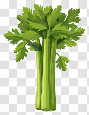 Celery Python Node.js Task - Django PNG