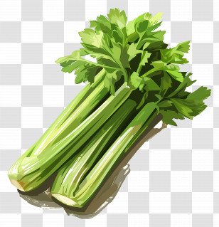 Celery Python Node.js Task - Django PNG