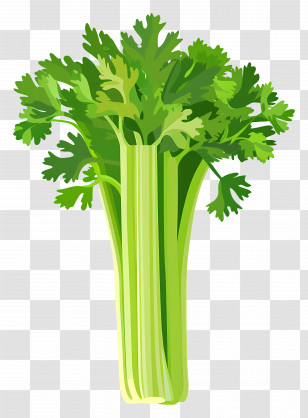 Celery Python Node.js Task - Django PNG