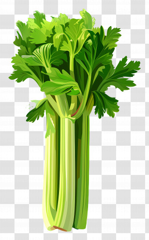 Celery Python Node.js Task - Django PNG