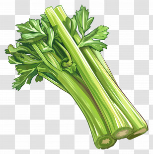 Celery Python Node.js Task - Django PNG