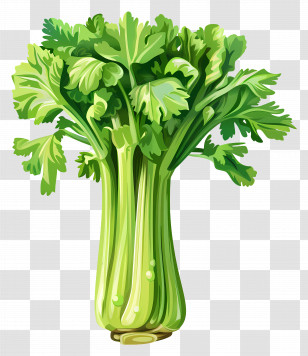 Celery Python Node.js Task - Django PNG