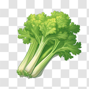 Celery Python Node.js Task - Django PNG