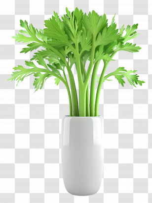 Celery Python Node.js Task - Django PNG