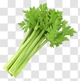 Celery Python Node.js Task - Django PNG