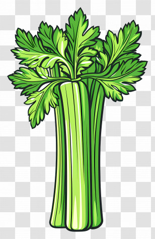 Celery Python Node.js Task - Django PNG