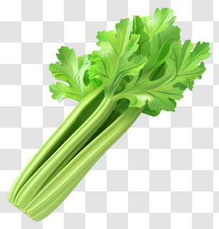 Celery Python Node.js Task - Django PNG