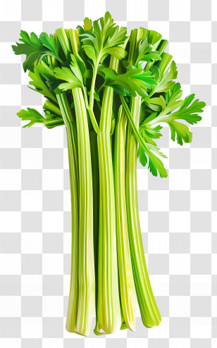 Celery Python Node.js Task - Django PNG