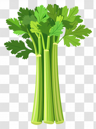 Celery Python Node.js Task - Django PNG