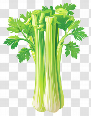 Celery Python Node.js Task - Django PNG