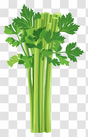 Celery Python Node.js Task - Django PNG