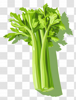 Celery Python Node.js Task - Django PNG