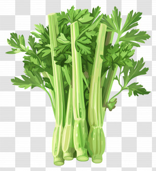 Celery Python Node.js Task - Django PNG