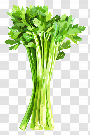 Celery Python Node.js Task - Django PNG