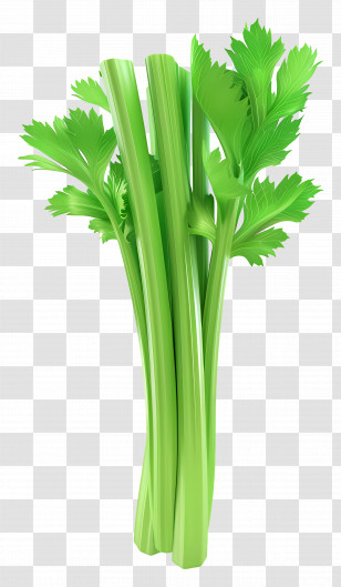 Celery Python Node.js Task - Django PNG