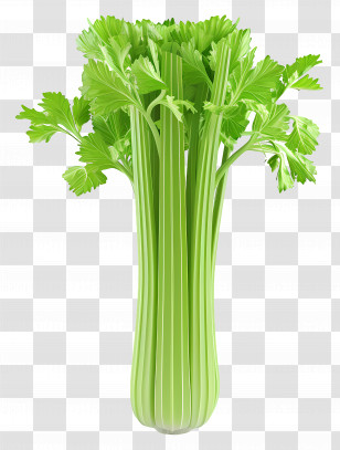 Celery Python Node.js Task - Django PNG